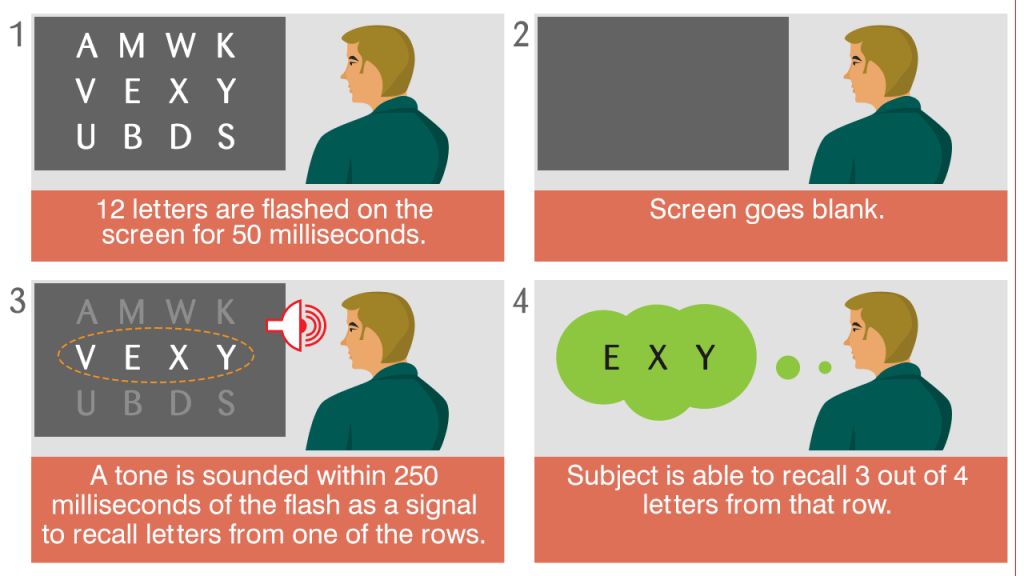 Trí nhớ hình tượng (Iconic memory) là gì? – Exploring Psychology – Khám ...