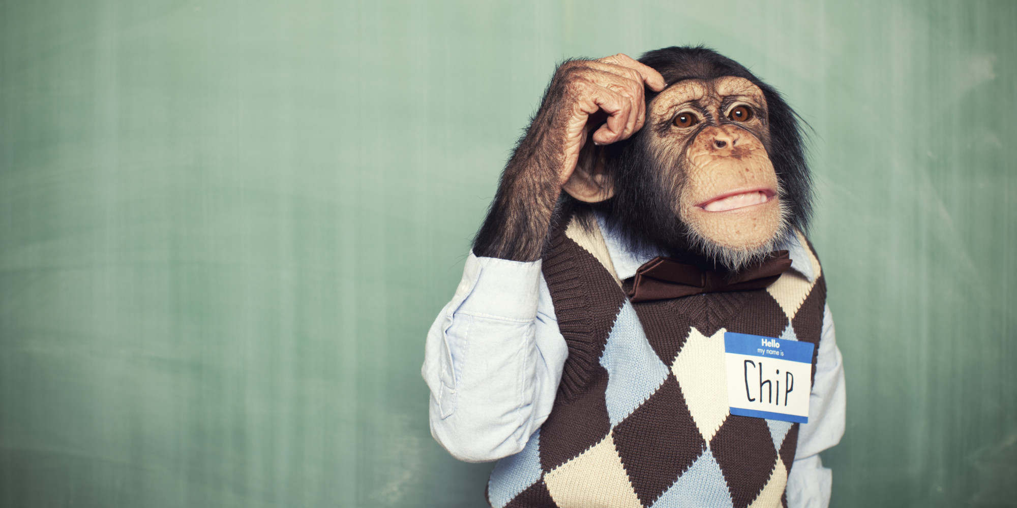 Tâm lý học so sánh và hành vi của động vật – Exploring Psychology ...