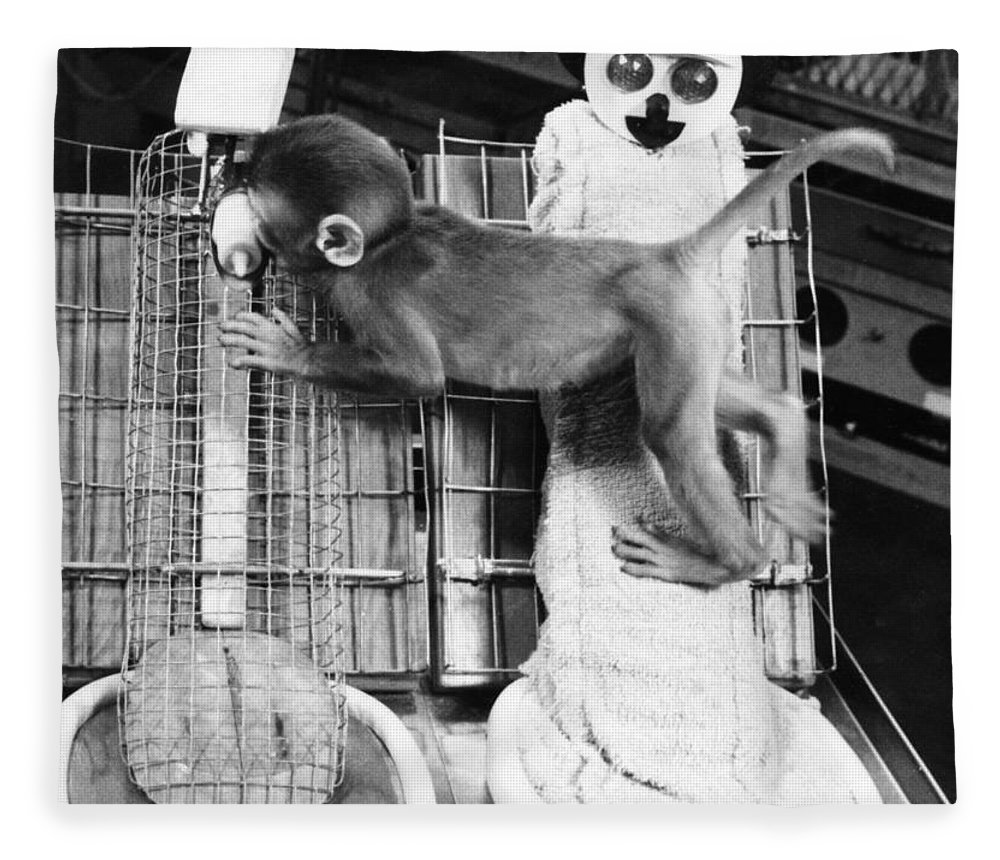 Những thí nghiệm gây tranh cãi nhất trong lịch sử tâm lý học ...