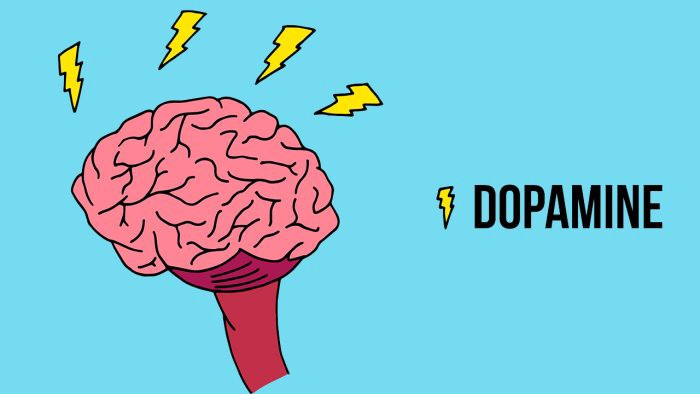 Dấu hiệu cơ thể đang thiếu Dopamine – Exploring Psychology – Khám Phá ...