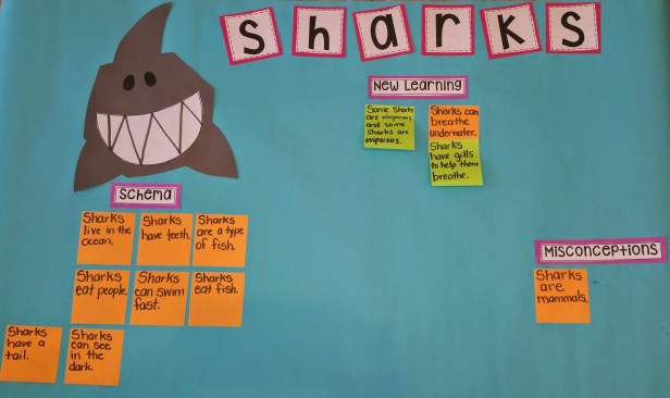 Lược đồ (Schema) trong tâm lý học – Exploring Psychology – Khám Phá Tâm ...